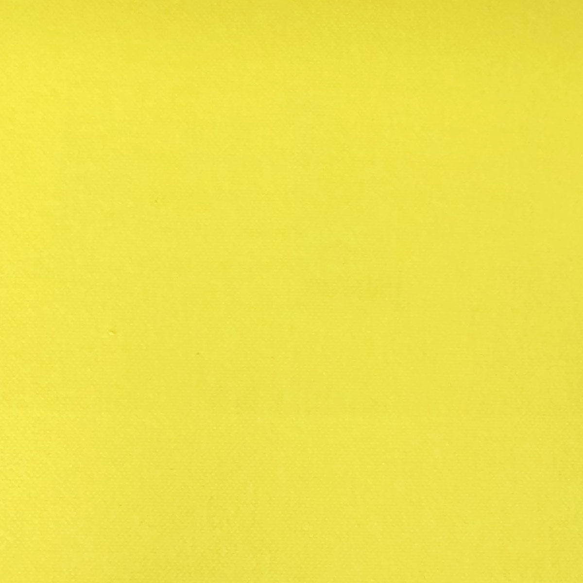 Chatham Glyn Glinara Daffodil Fabric – Just Poles